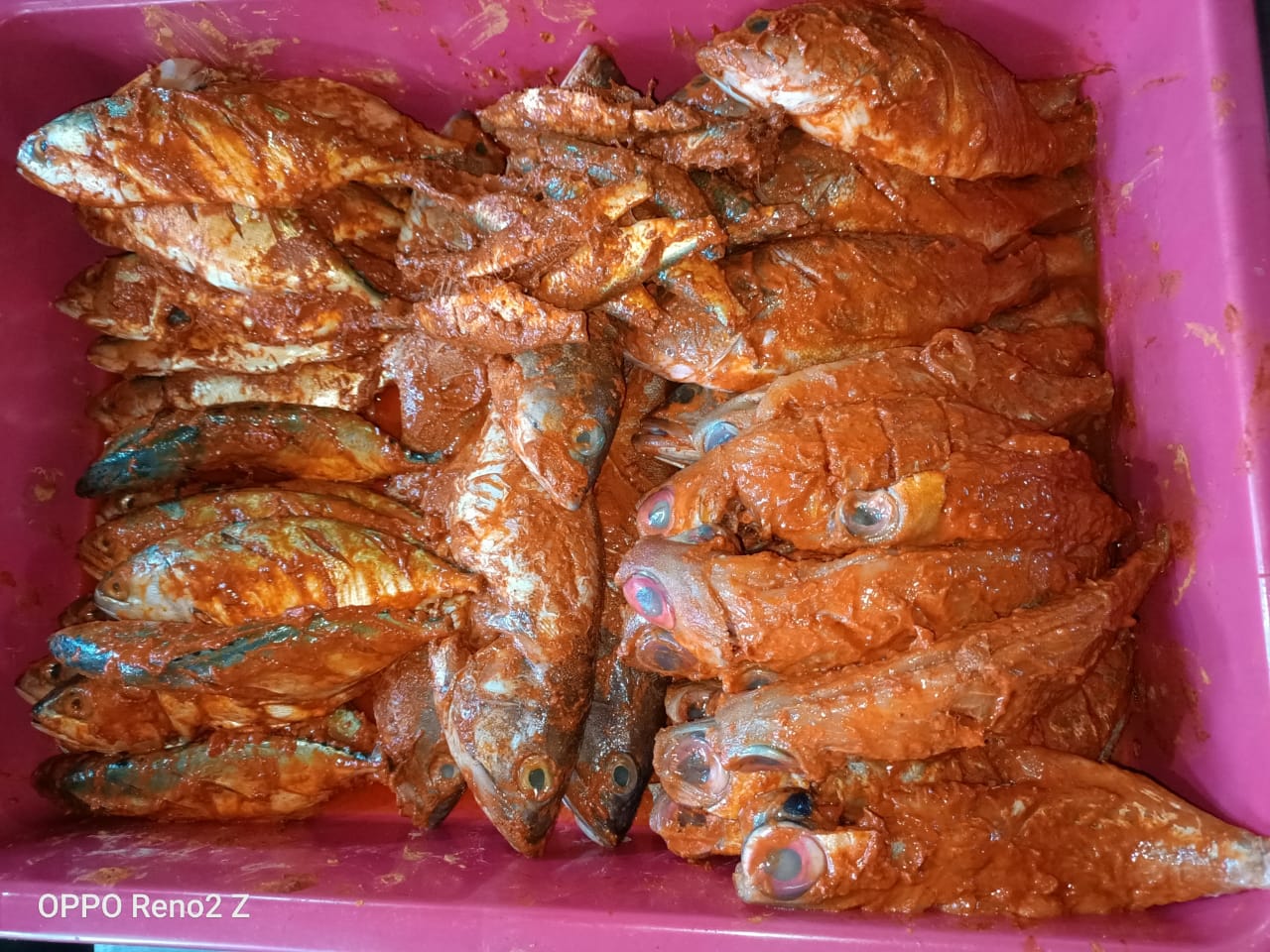 Sai Kitchen in Mangalore Hampankatta - Hello Mangaluru