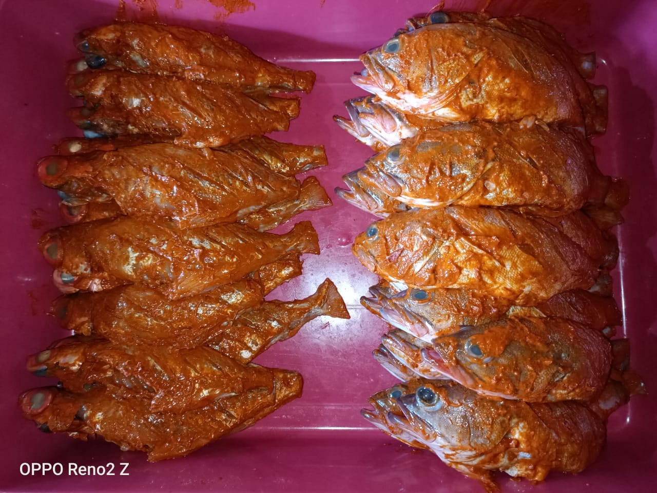 Sai Kitchen in Mangalore Hampankatta - Hello Mangaluru